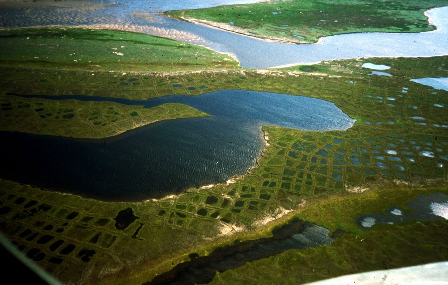 Lena River, the blue artery of Siberia — Blue Explorer
